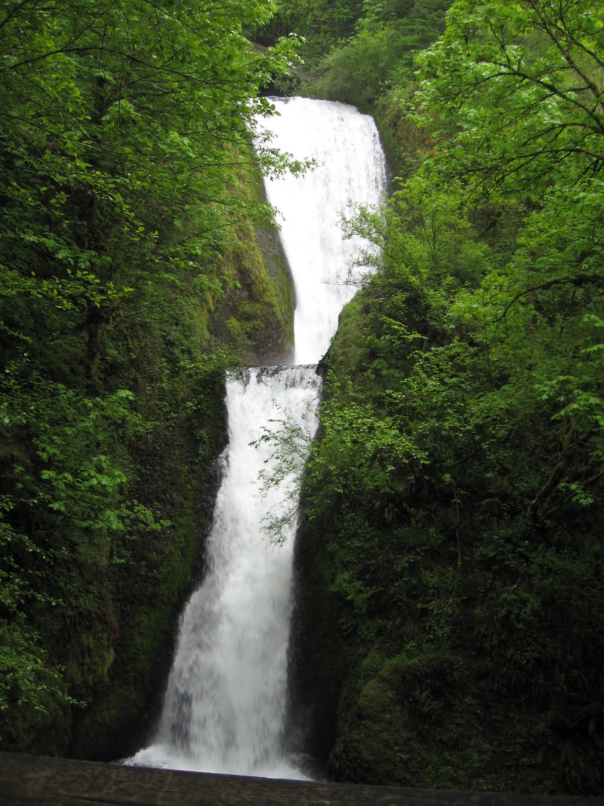 Seeking Serendipity:: A Banquet of Oregon Waterfalls