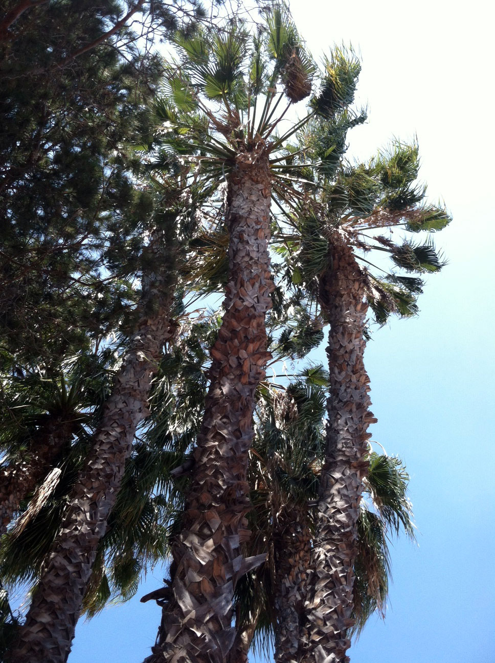 Tell Me a Story: Waiting Room Surprise