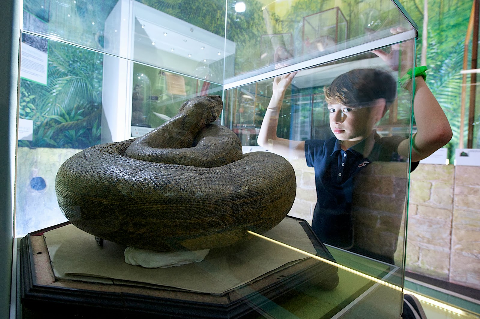 Wakefield Museums and Castles: What's on at Wakefield Museums