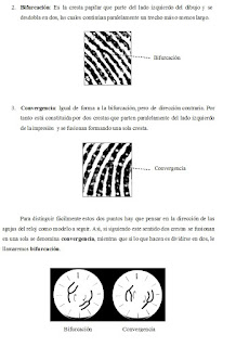 PELMATOSCOPIA Y QUIROSCOPIA
