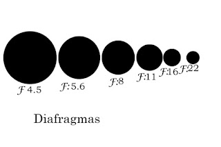 Clasesdefoto.blogspot.com: Diafragma