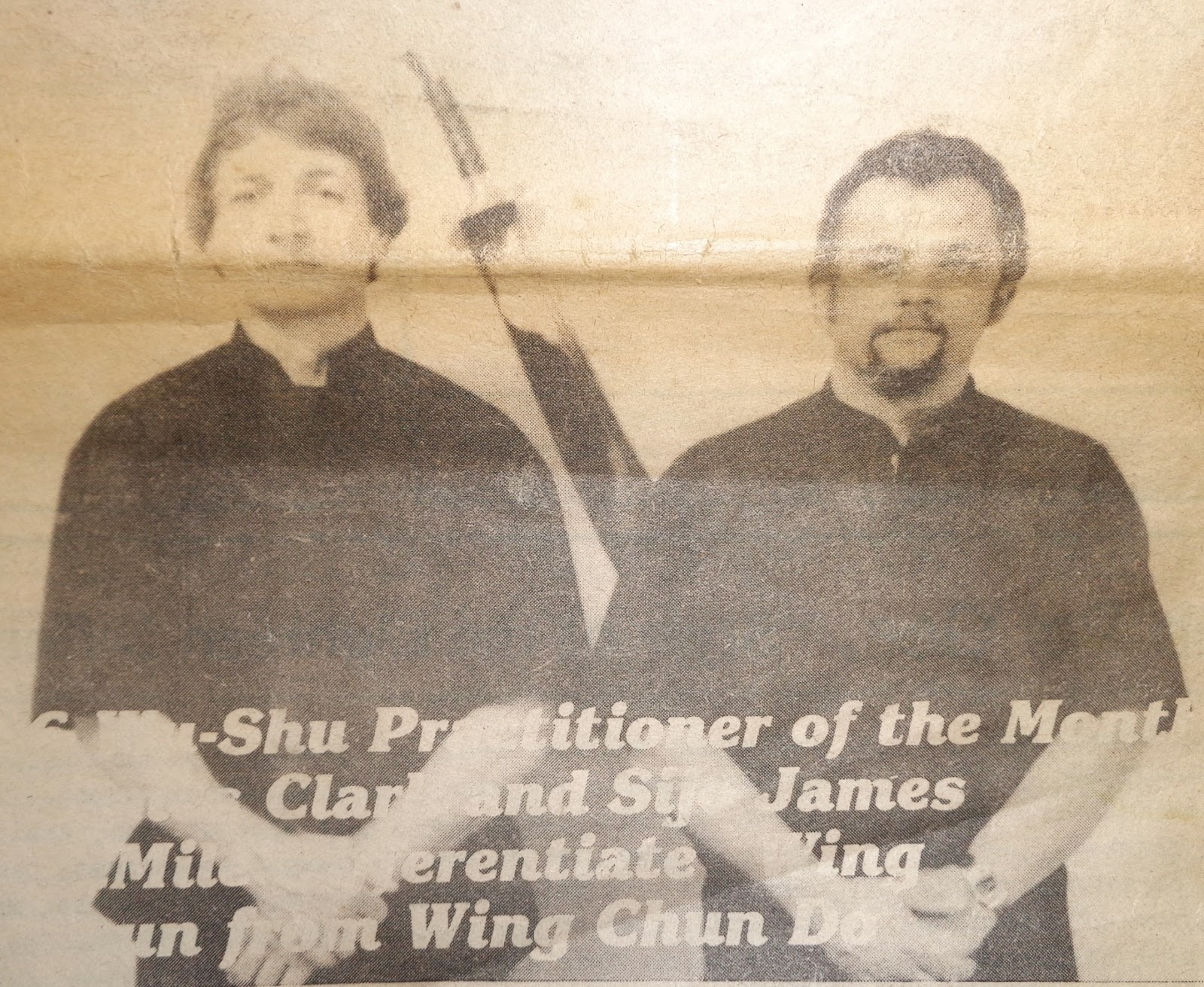 Wing Chun Do - Michigan