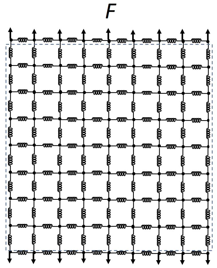 Intermediate Physics for Medicine and Biology: Anisotropy in ...