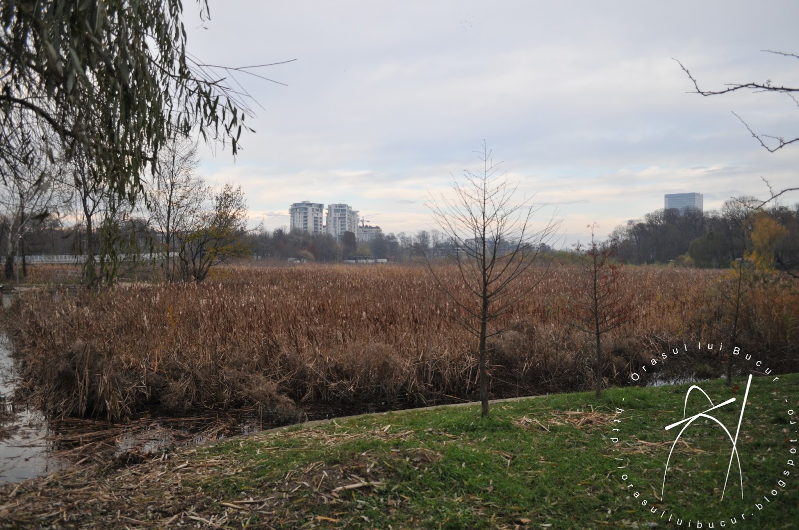 Orasul lui Bucur: Lacul din Parcul Bordei