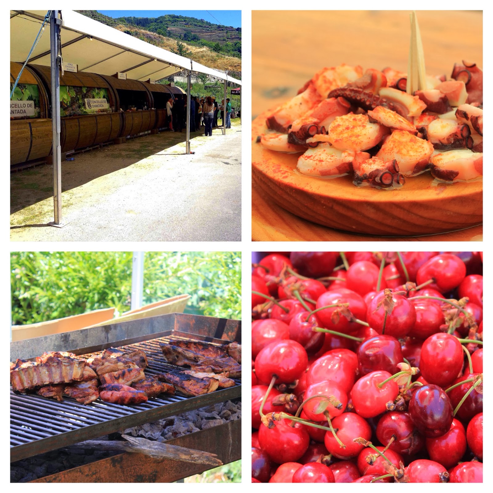 Enociencia : Ribeira Sacra, el Camino hacia la "Vinae Sacrata"
