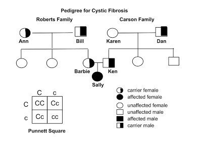 IGCSE Biology: GENETIC DISEASES & DISORDERS
