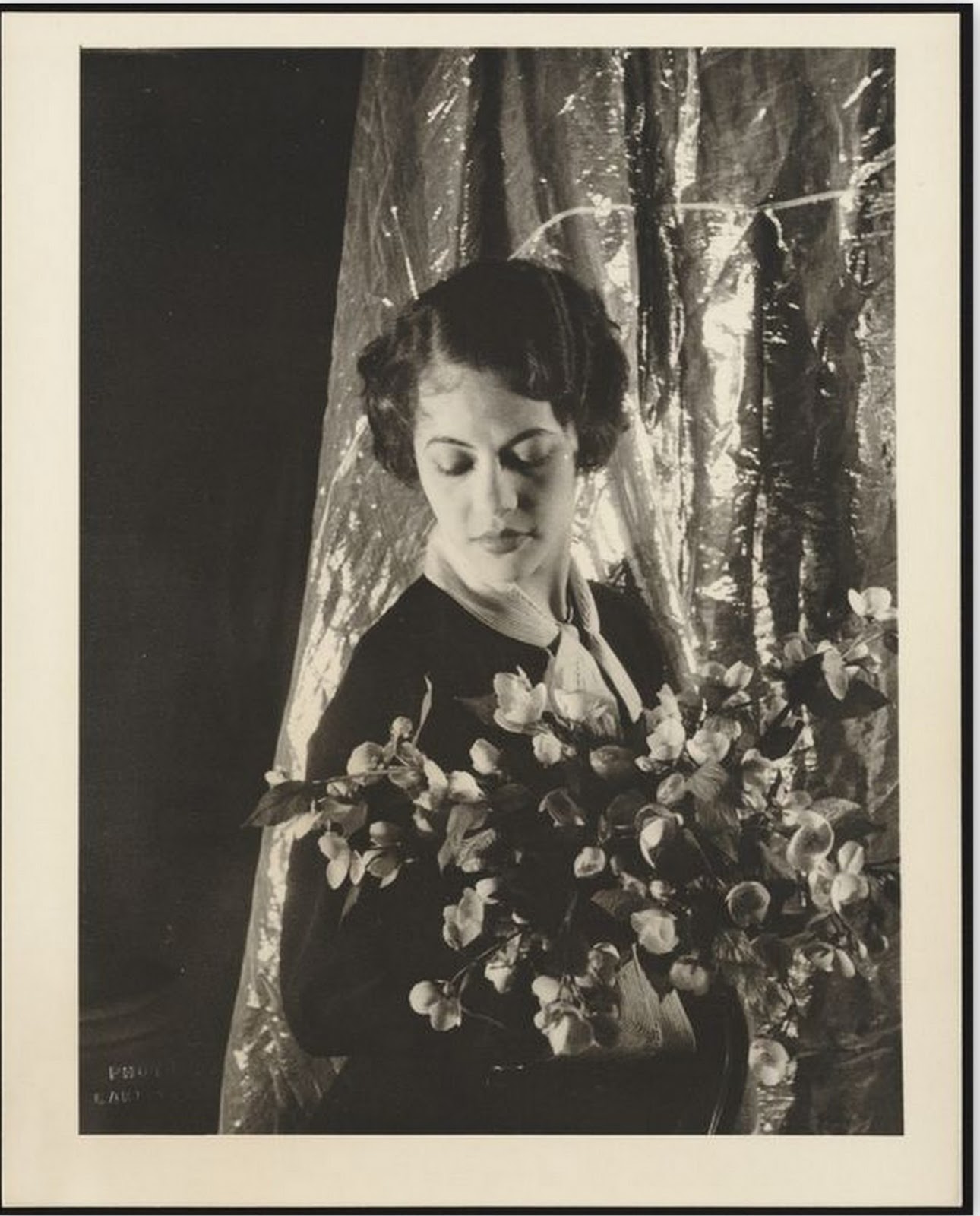 Brown Sugar: Over 80 Years of America's Black Female Superstars: Fredi ...