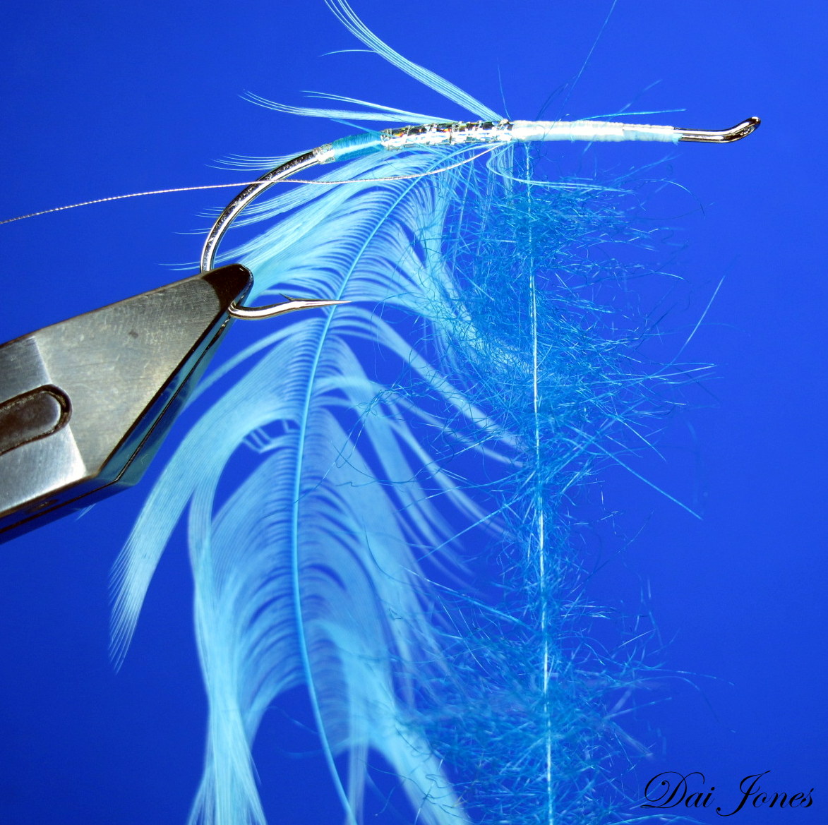 Flies step by step: Blue Spey, Step by step.