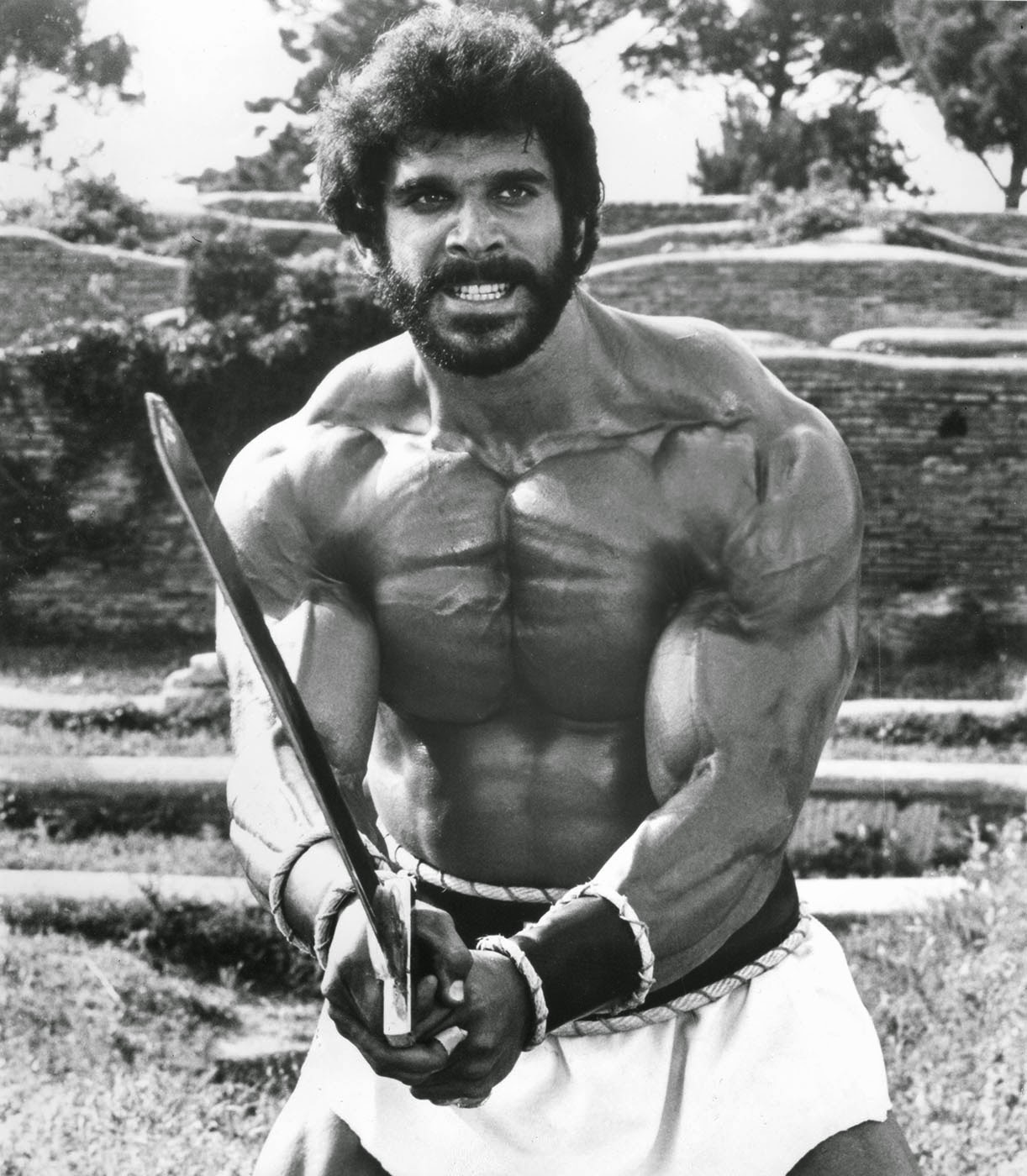 The Ultimate Hercules Blog: Lou Ferrigno in the Seven Magnificent ...