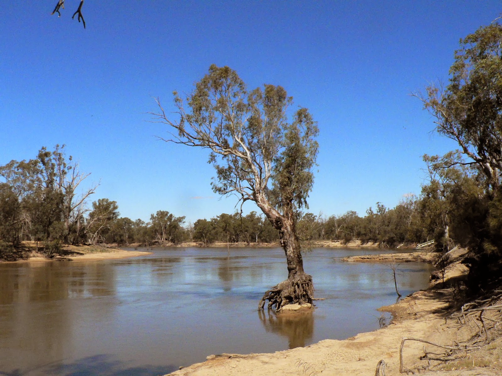 Peter and Kate's Australian Adventures: Along the Murray River