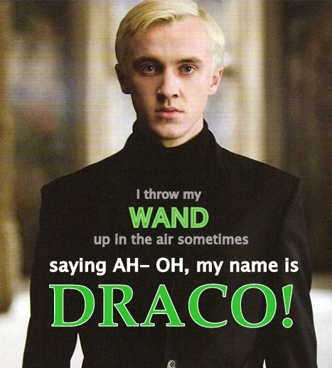 Let's Get Zippy: What is a draco?