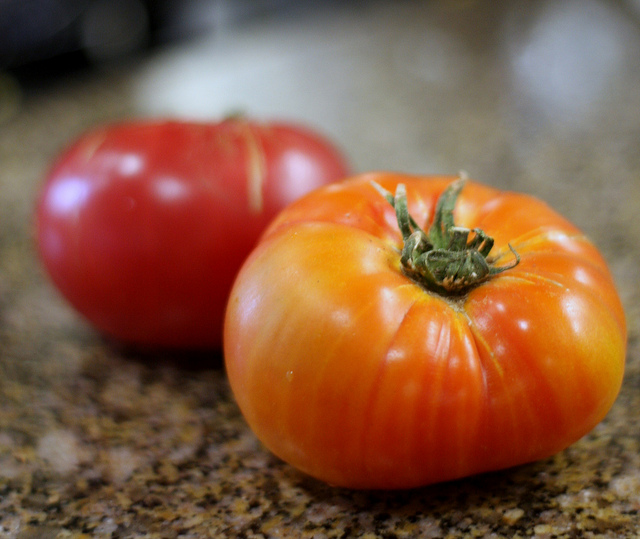How to Grow Epic Tomatoes - Proverbs 31 Homestead