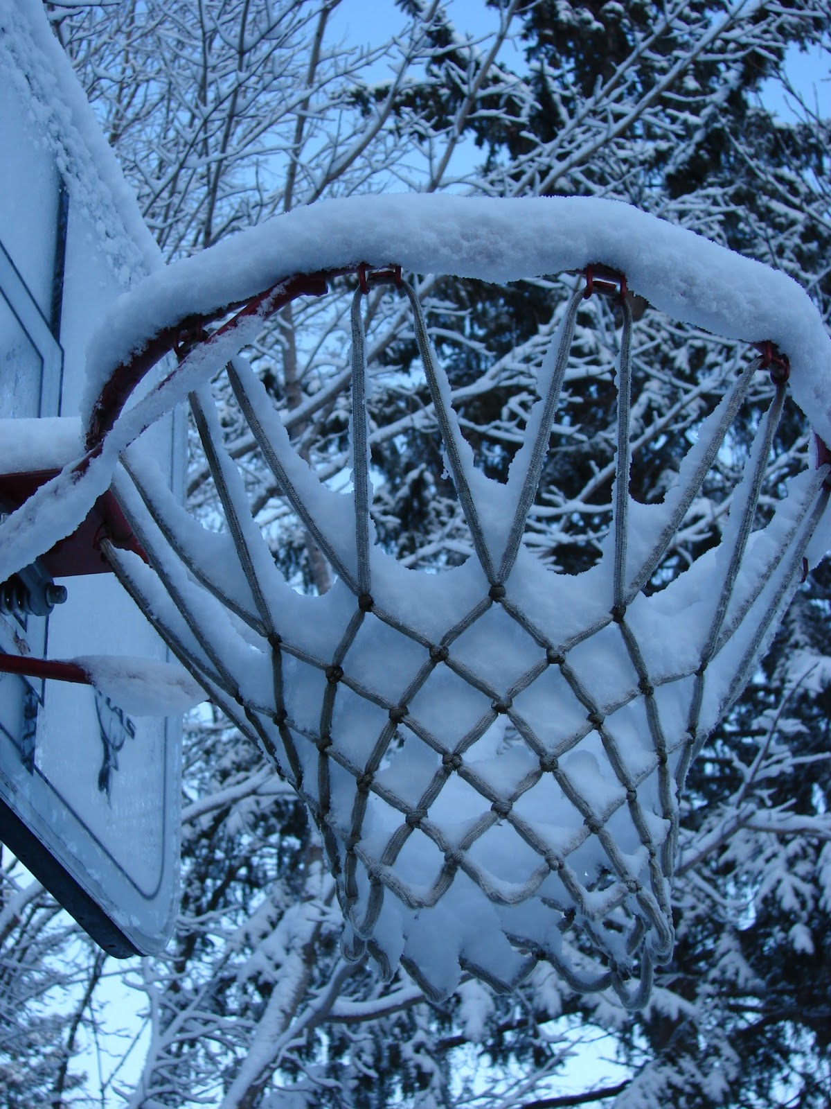 Extended Shelf Life: Hoop Genius