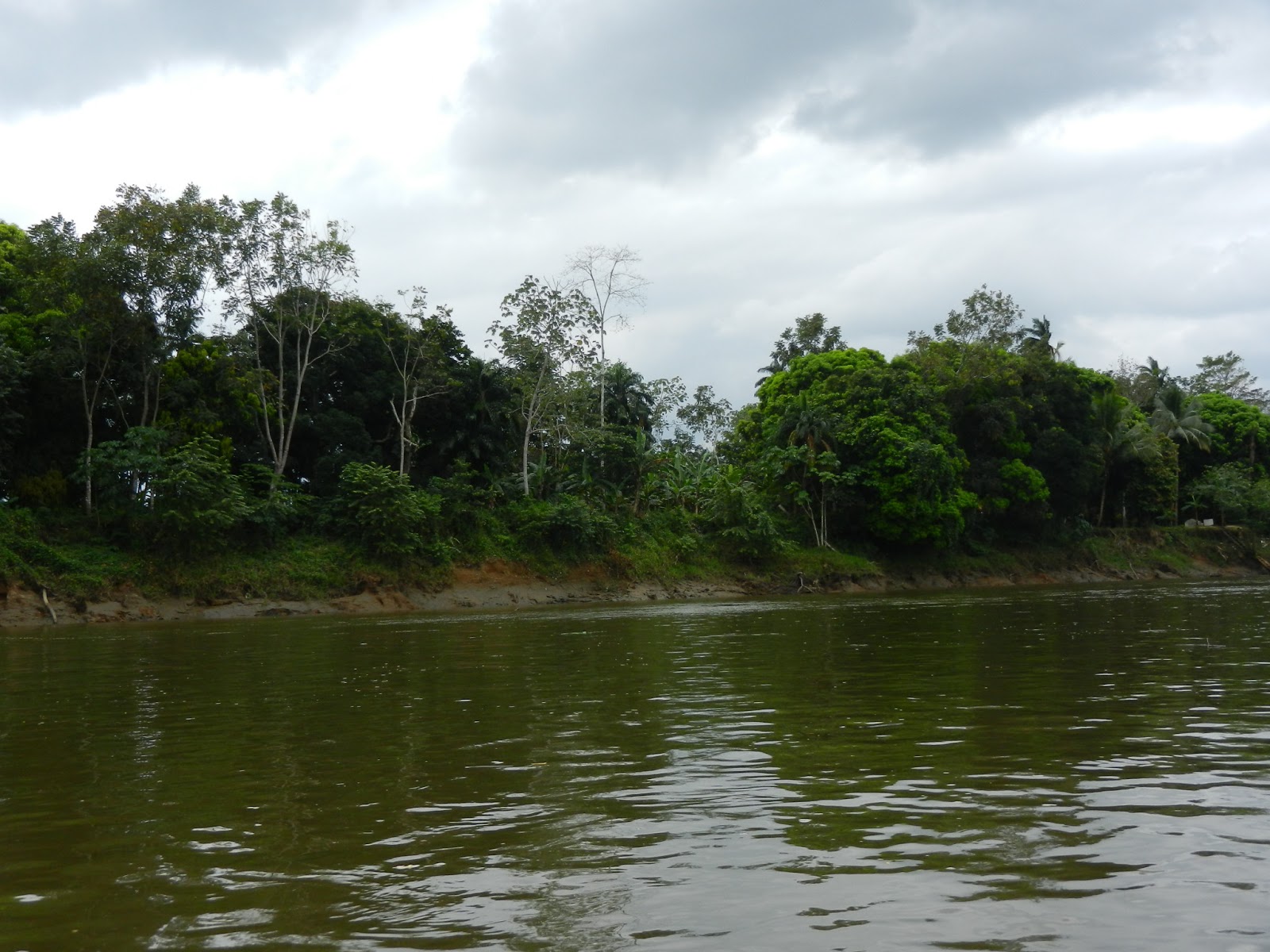 Experience Nature: The Darien: Our Arrival