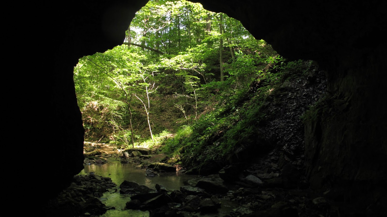 CAVE RIVER VALLEY ENDLESS CAVE - ADAM HAYDOCK