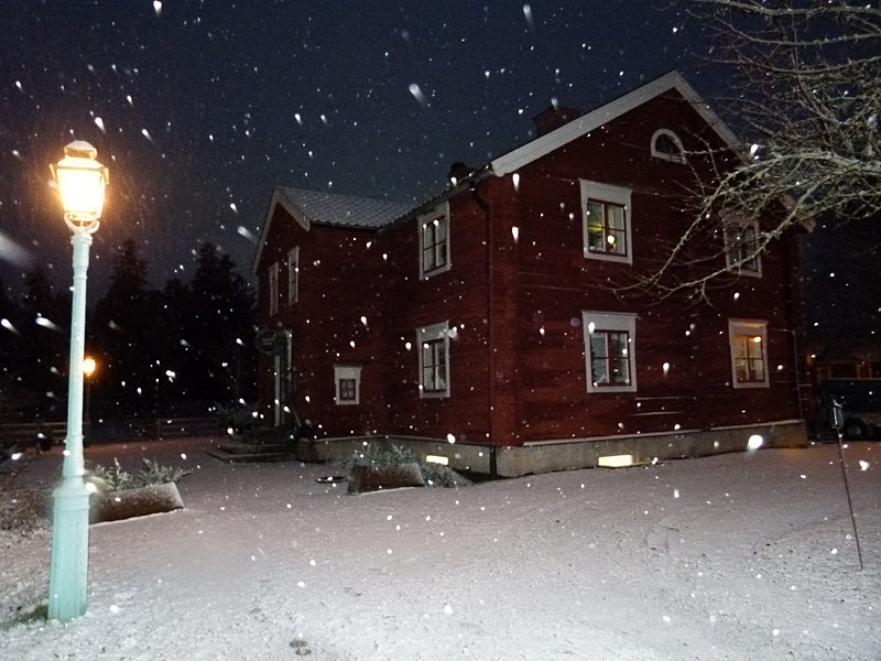 6 mois d'Erasmus: Gamla Linköping en Hiver