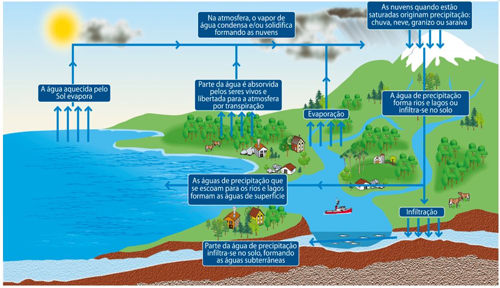 Ciclo hidrológico. | Biologia: A ciência da vida