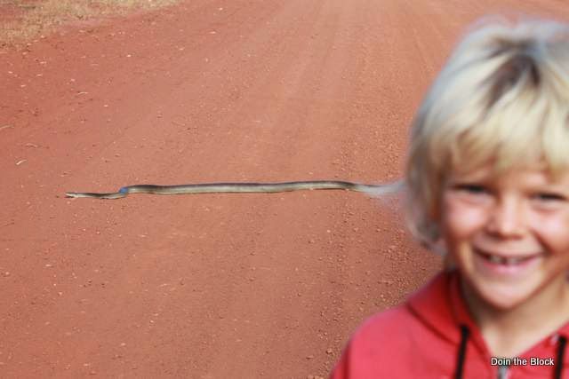 Doin' The Block: Day 189 – 13/6/14 - Calvert River Crossing ...
