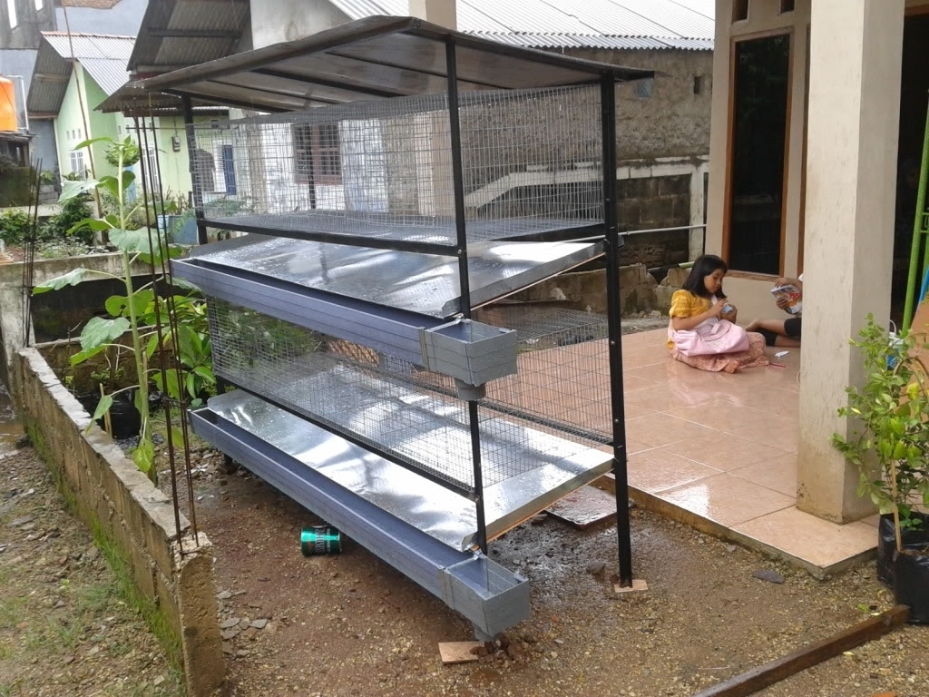 Contoh Design Kandang Kelinci