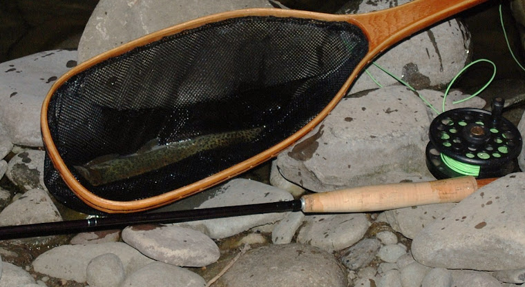 Pocono Fly Fishing: Bushkill Creek - Easton PA, Jan 19, 2013