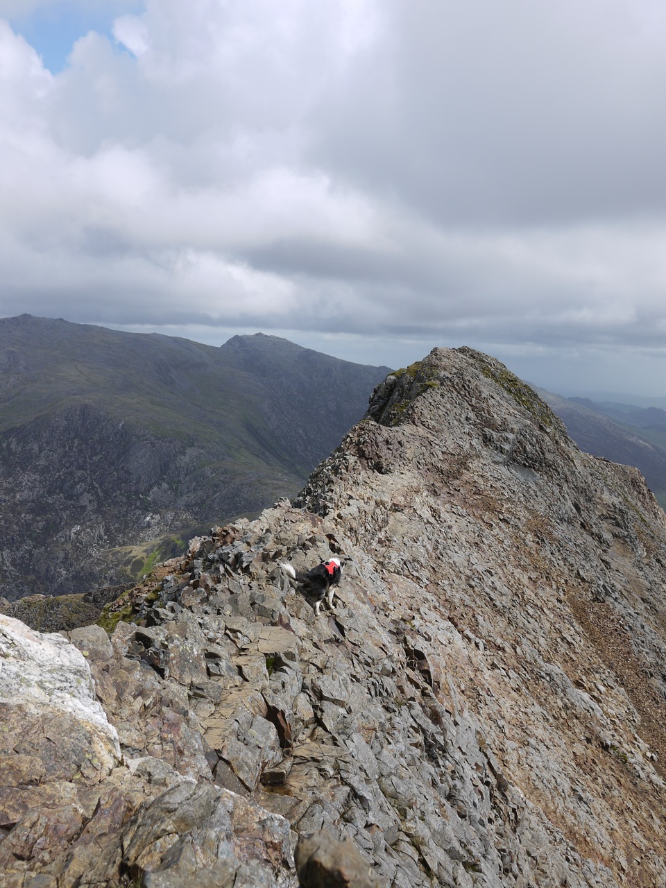 Rob Johnson: Crib Goch