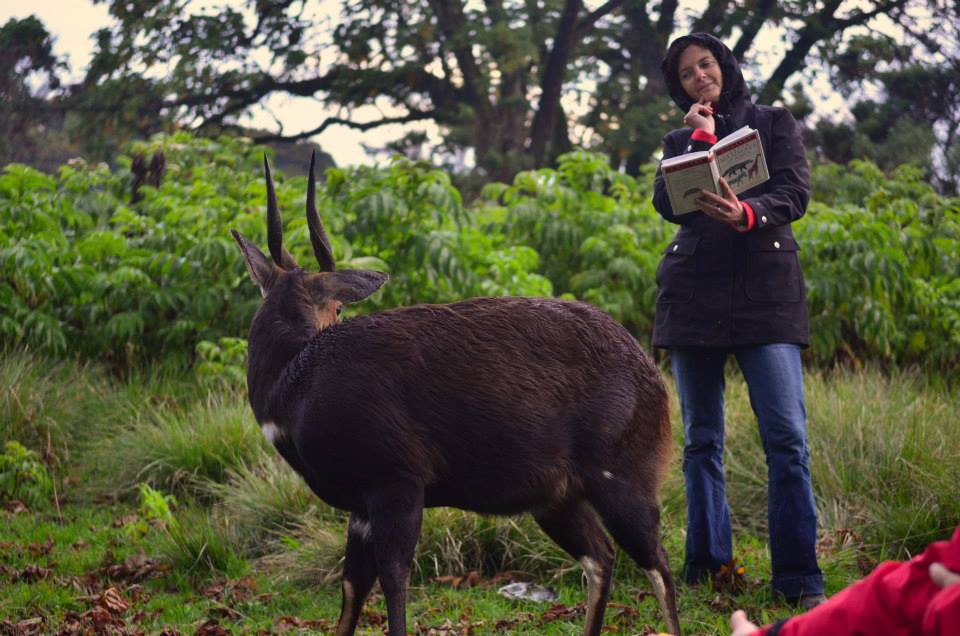 ParadoxUganda: African Alpine