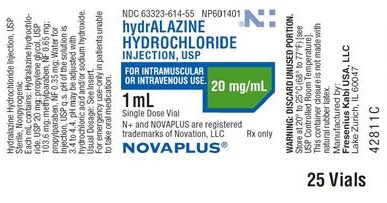 HBP MEDS: List of Vasodilators