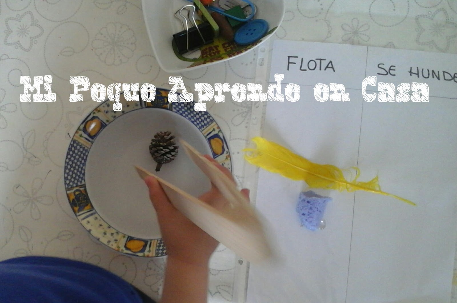 Mi Peque Aprende en Casa: Flota / Se Hunde