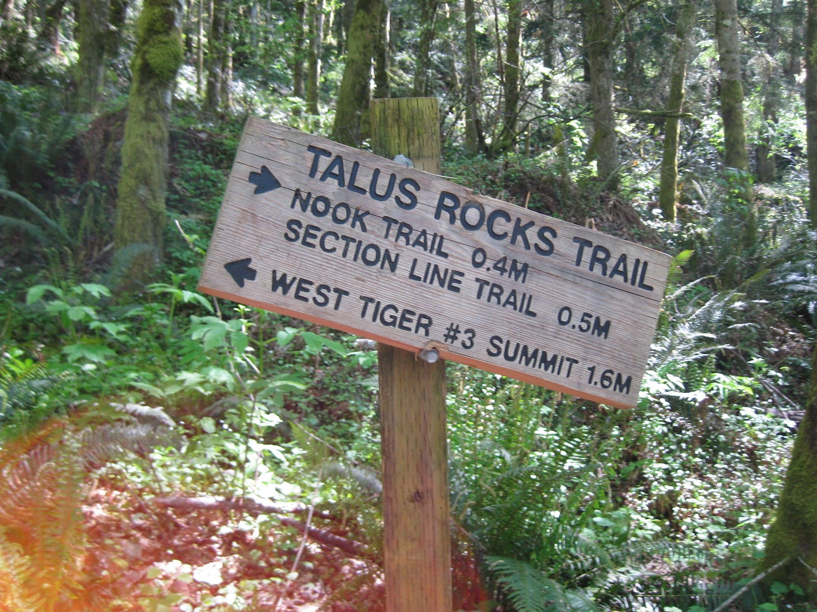 Peak a Week: West Tiger 3 & 2 - Dec. 22, 2011