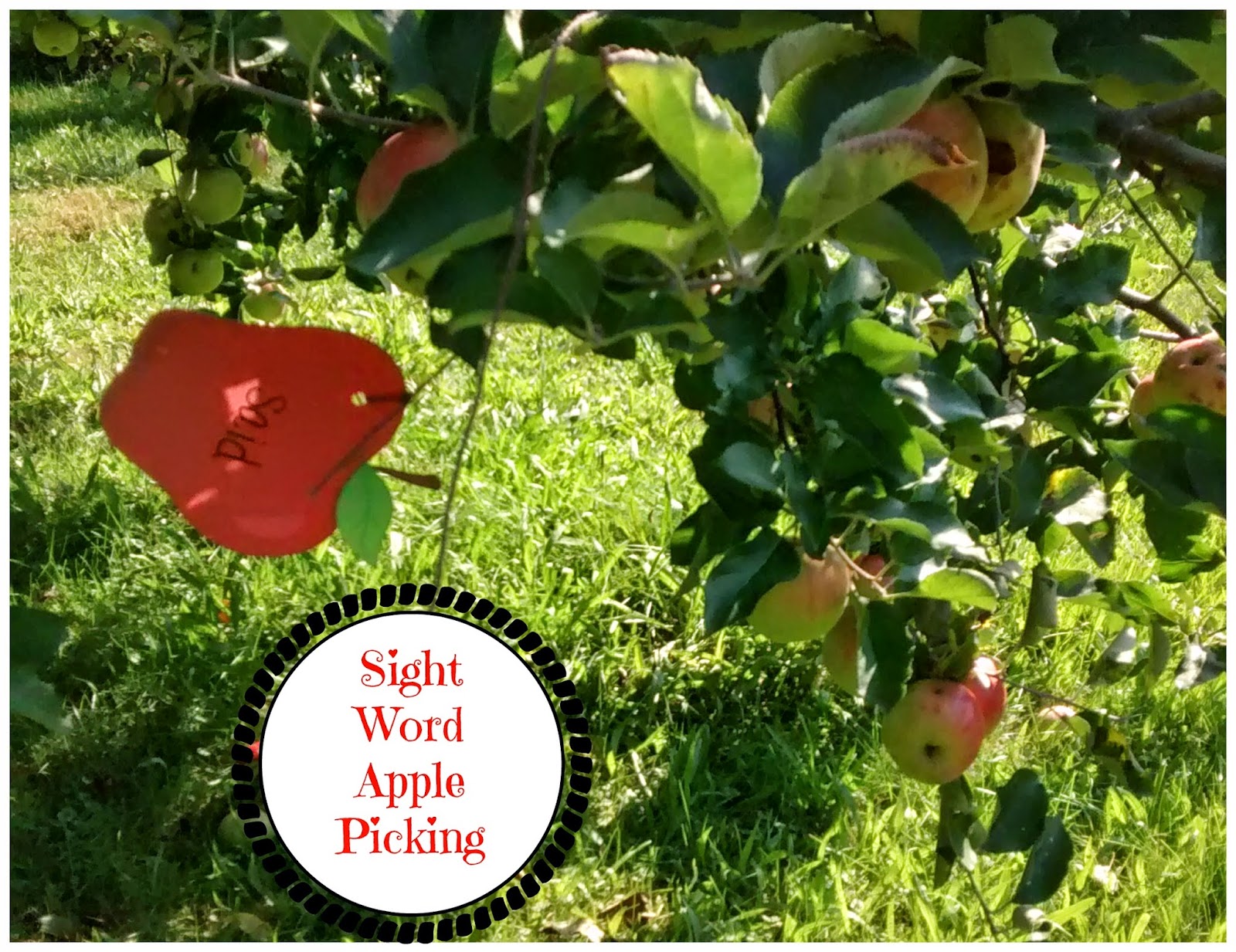 Preschool By Pinterest: Apple Sight Word Picking