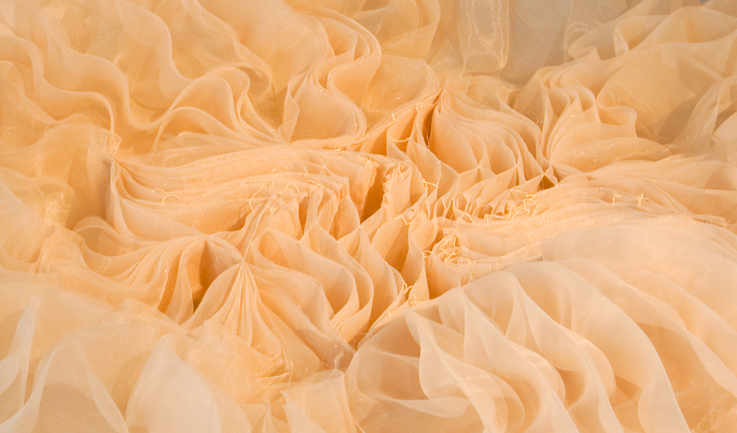 Core Gallery Interviews: Interview with Elizabeth Murton