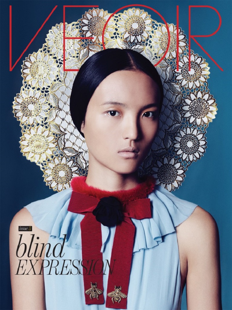 ASIAN MODELS BLOG: MAGAZINE COVER: Lu Ping Wang for (US) Veoir Magazine ...