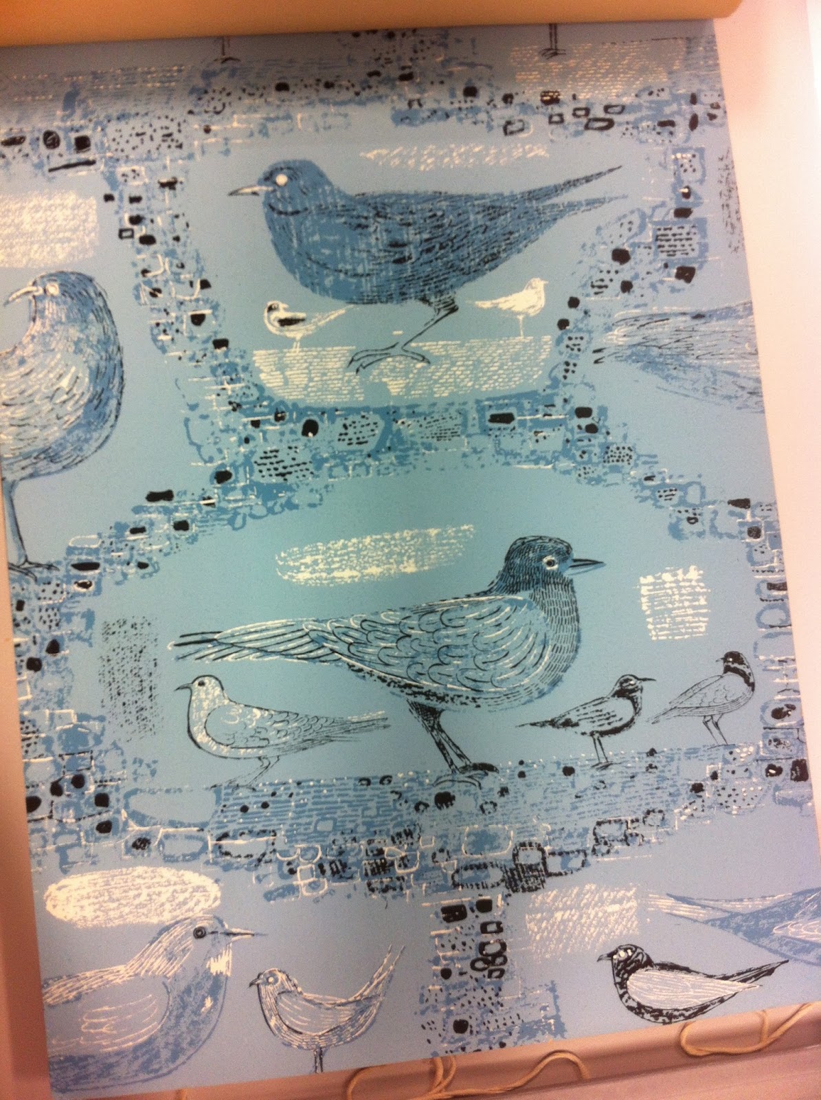 NANCY NICHOLSON: Moda (Museum of Design and Architecture) and Roger ...