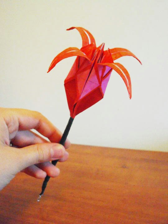 origami iris ~ instructions origami kids