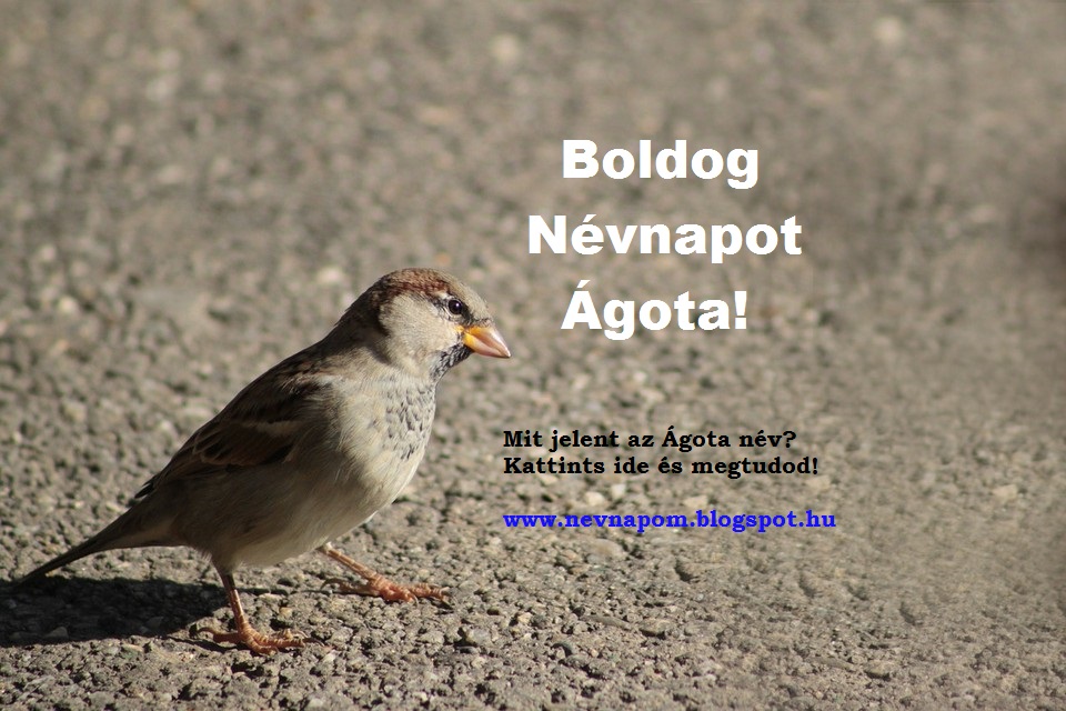 Milyen névnap van ma?: Ágota