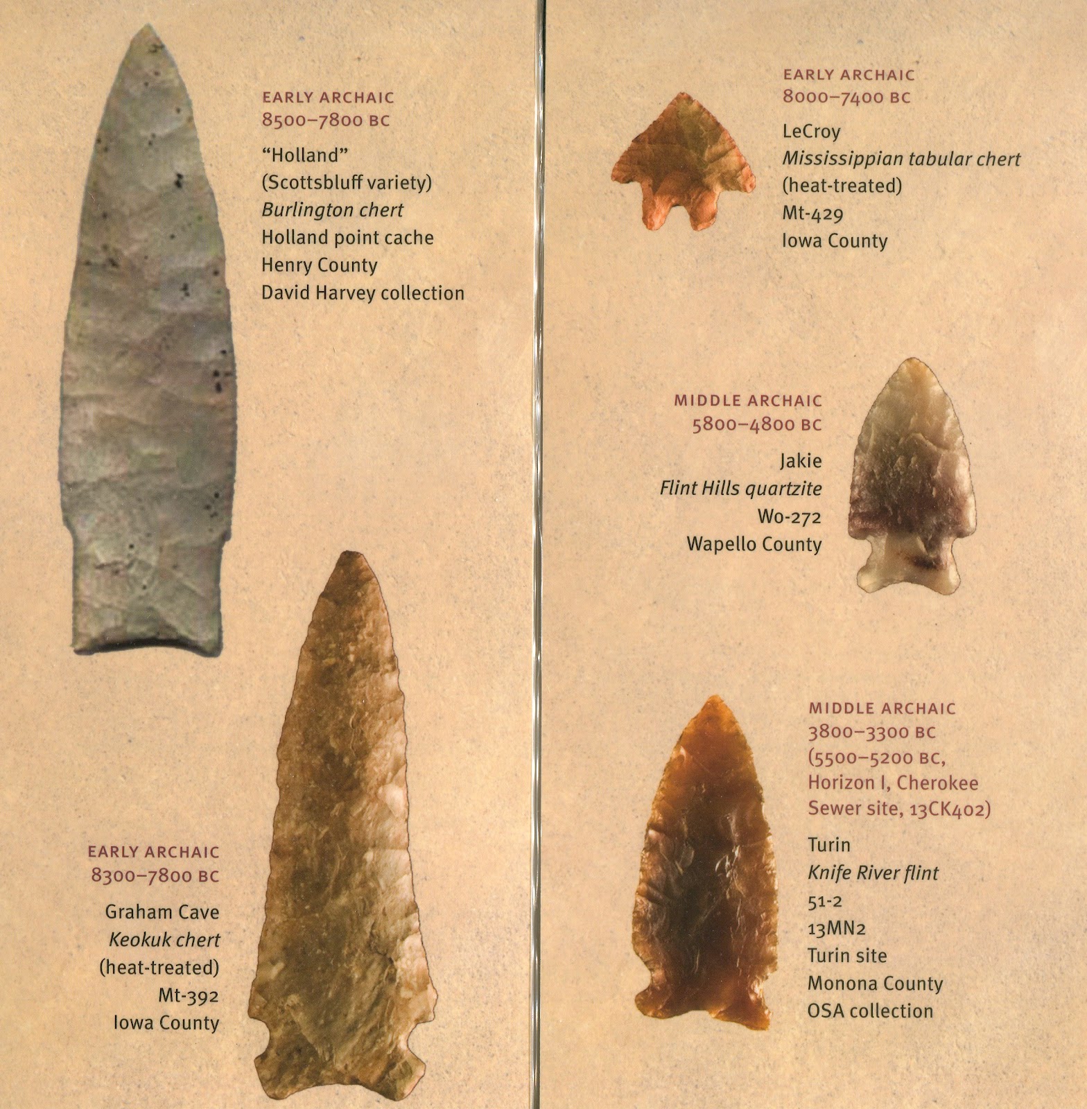 Bur Oak Blog: Finding Projectile Points