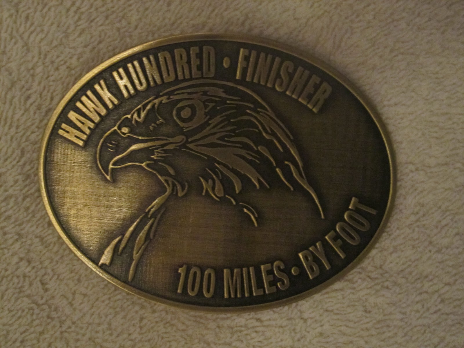 Single Track Frame of Mind: The Hawk Hundred: Something Epic This Way Comes