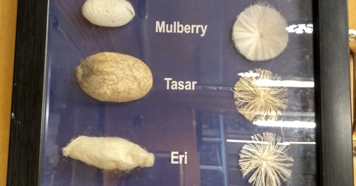 SilknThreads: Silk Mark Certification Of India