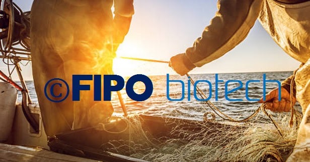 FIPO BIOTECH soluciones innovadoras