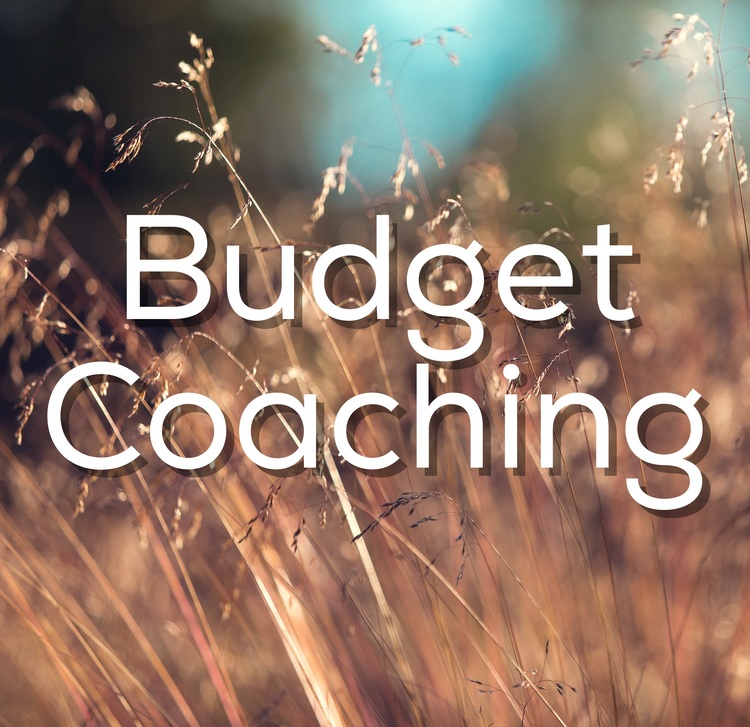 Financial Investment Advisor Plan Your Yearly Budget Well In Advance financial-investment-advisor-plan-your-yearly-budget-well-in-advance