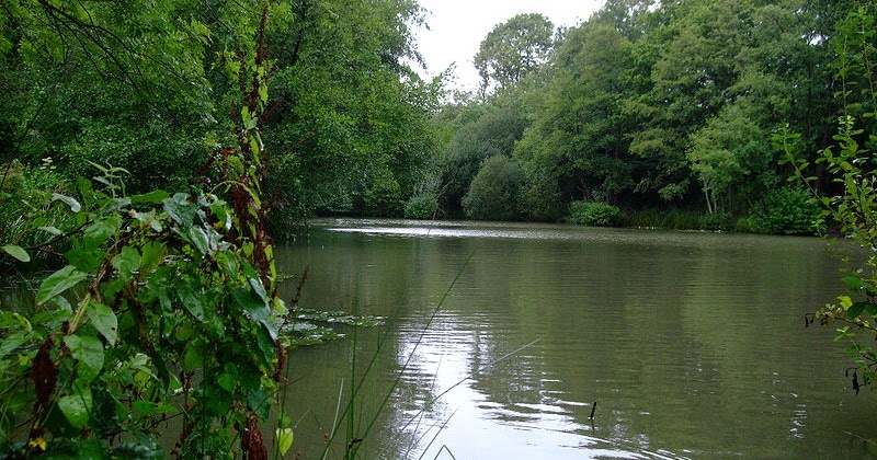 Jessica Cross ASMR: Change of Season Meditation - JessicaCrossASMR.com