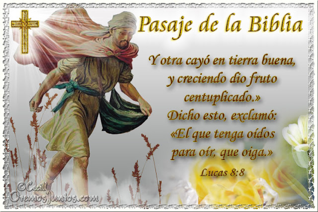 Vidas Santas: Santo Evangelio según san Lucas 8:8