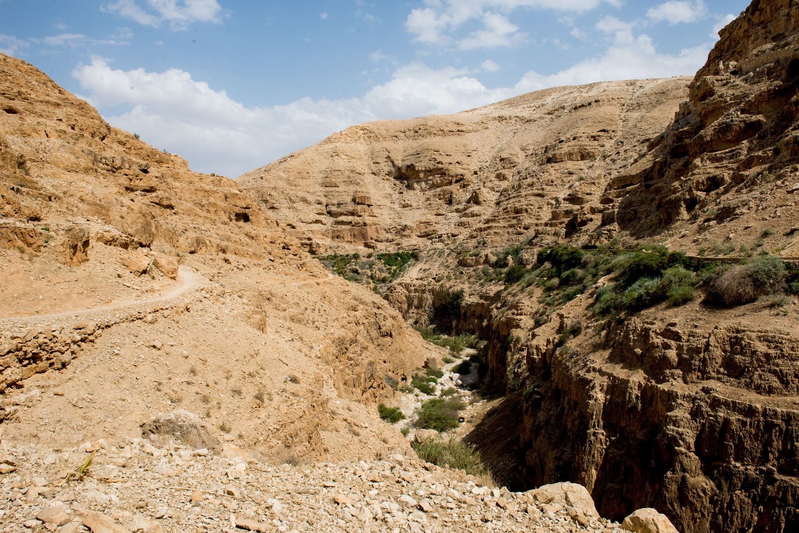 Living By Lysa: Listening in the Wadi Qelt