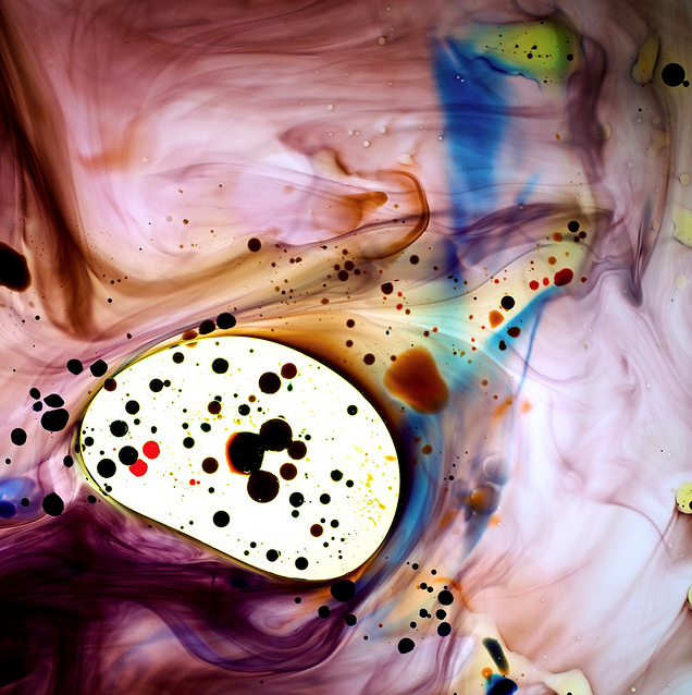 what makes us: corey holms