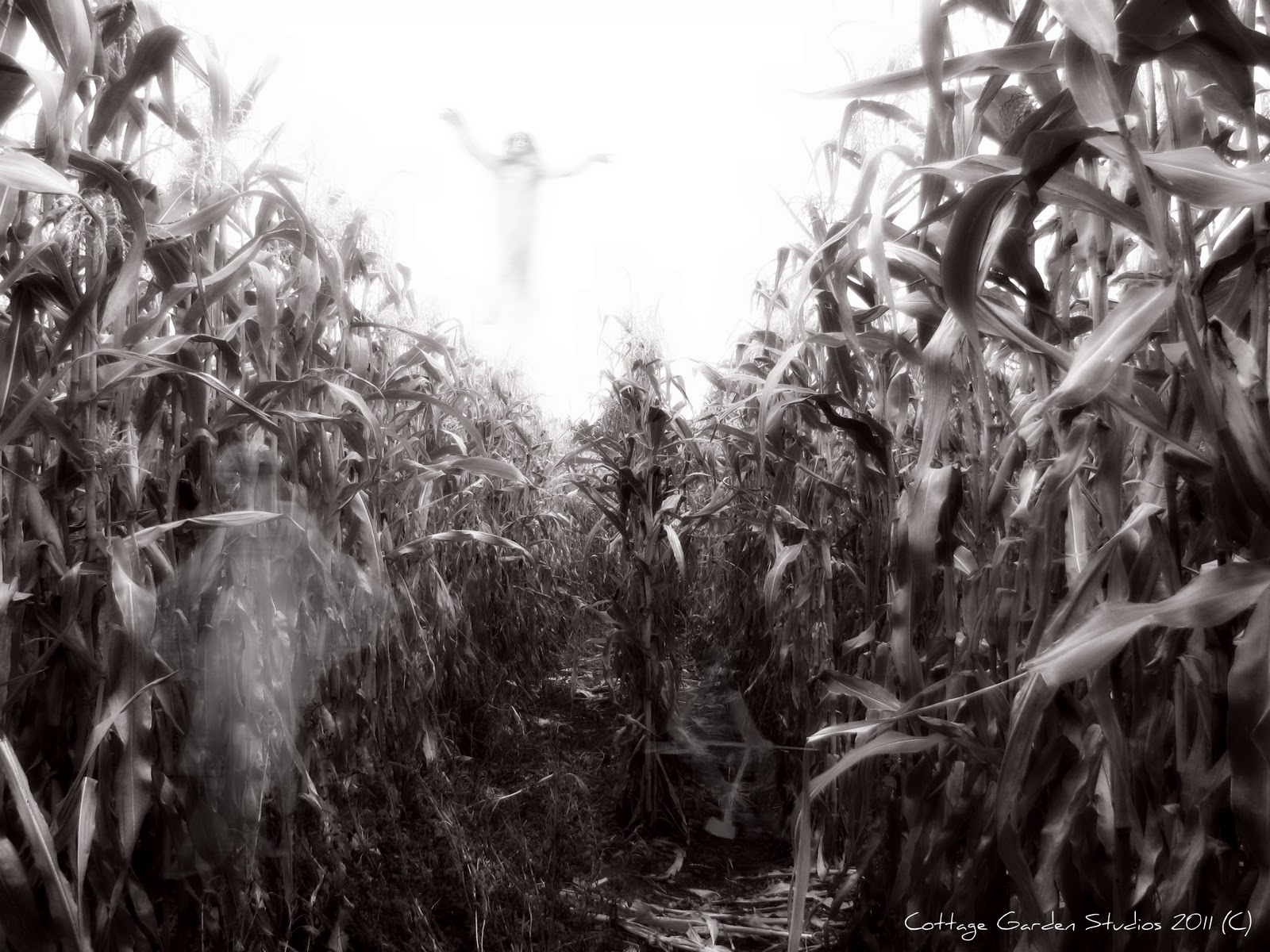 Cottage Garden Studios: Halloween Decorating..and a New WIP :)