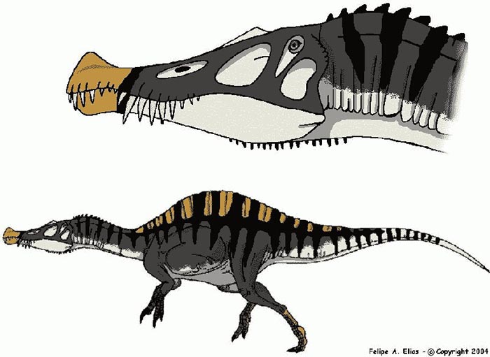 Mundo Pré-Histórico: Dinossauros do Brasil