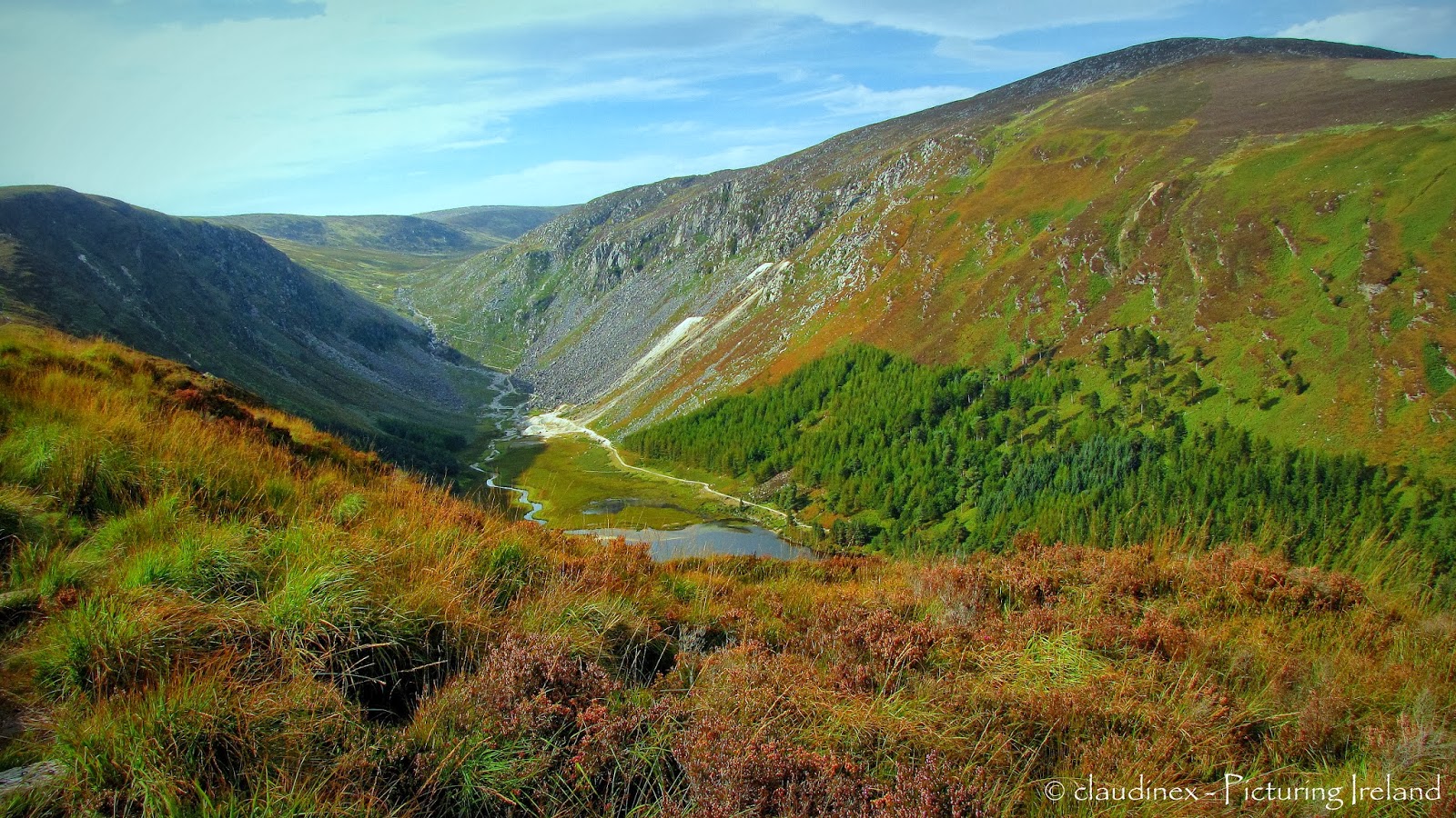 Picturing Ireland : Glenealo Valley in the Wicklow Mountains