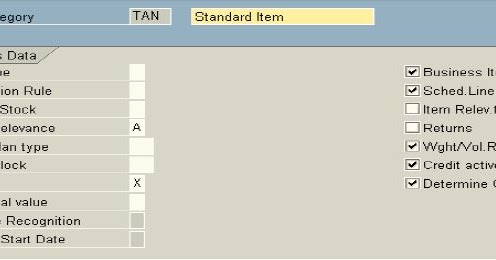 SAP Tutorials: Controls of Item Categories in SD