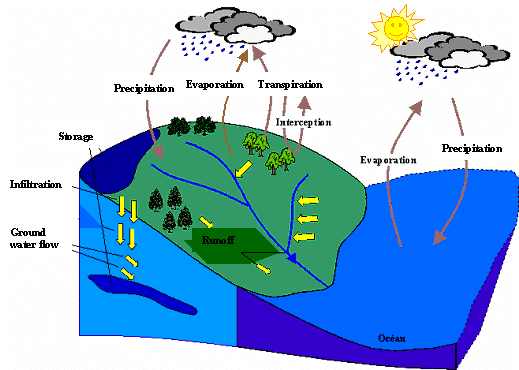 Kajal Work: Hydrology cycle of water