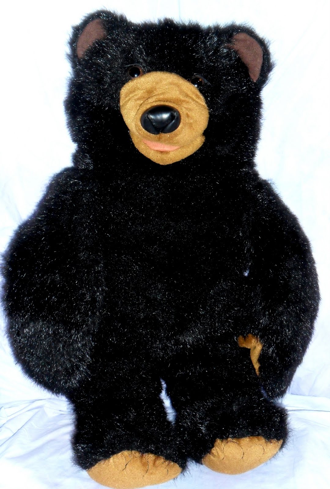 Beyond the Book Storytimes: Lizard, Bear, and Funny Songs